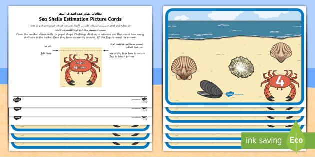 Sea Shells Estimation Picture Cards Picture Cards - Arabic/English