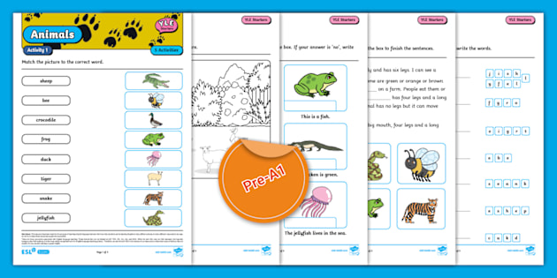 Vocabulary Animals | twinkl.com.au