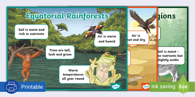 World Climates | Climate Regions Posters | Printable