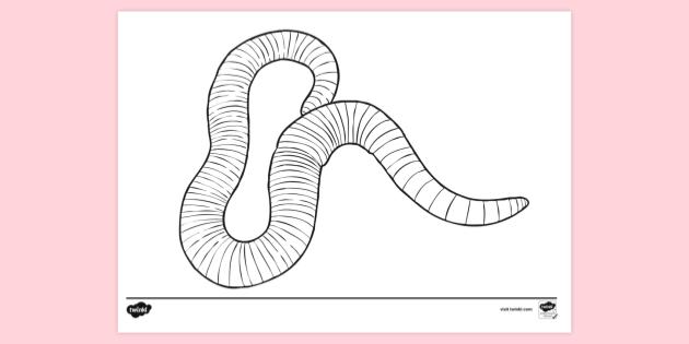 FREE! - Worm Colouring Sheet | Colouring Sheets
