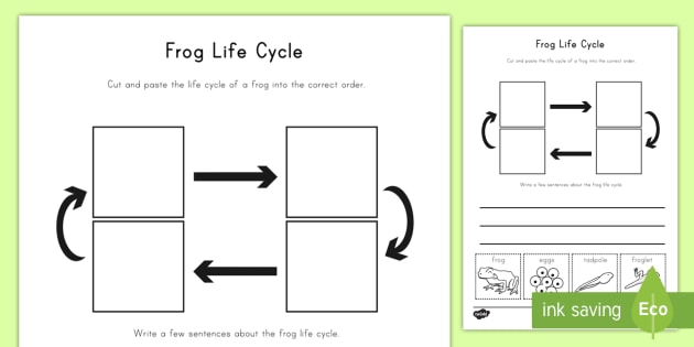 Frog Life Cycle Writing Worksheet / Activity Sheet - frog, life cycle