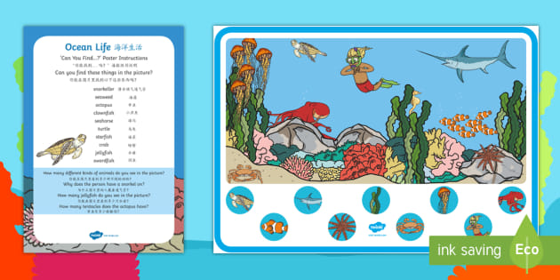 Ocean Life Can You Find...? Card Pack English/Mandarin Chinese