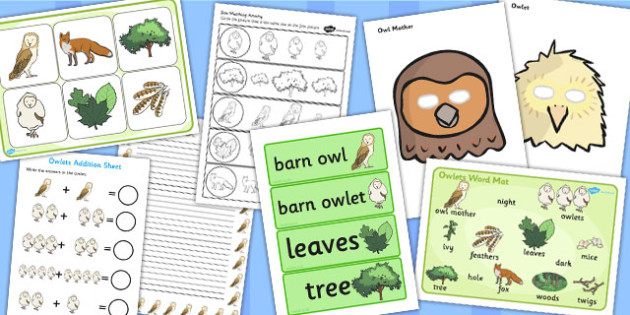 Childminder Owl Resource Pack (teacher made)