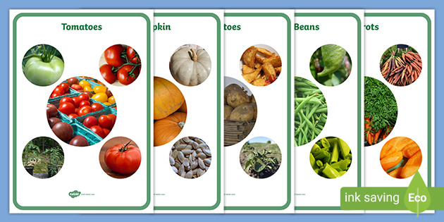 Fruit and Vegetable Photo Pack