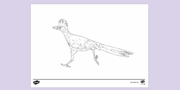 FREE! - Roadrunner Colouring Sheet Colouring | Colouring Sheets