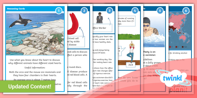 Science: Animals Including Humans: Year 6 Reasoning Cards