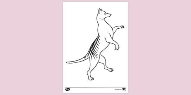 FREE! - Rampant Tasmanian Tiger Colouring | Colouring Sheets
