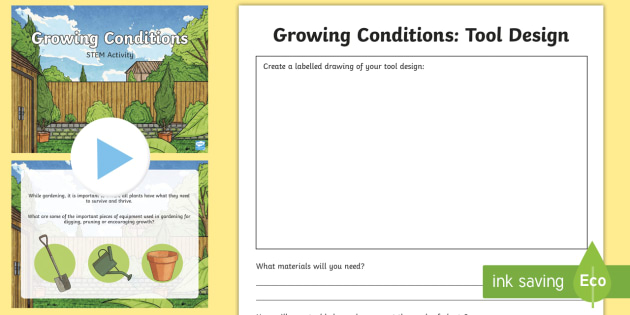 Growing Conditions STEM PowerPoint (teacher made)