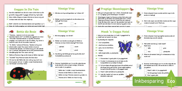 1-Minuut Lees en Vrae Kaarte - Insekte (teacher made)