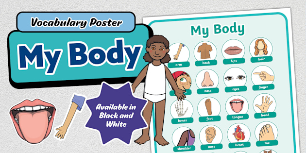 14 English Vocabulary With Pictures Inside The Human Body