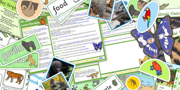 Jungle KS1 Lesson Plan Ideas and Resource Pack