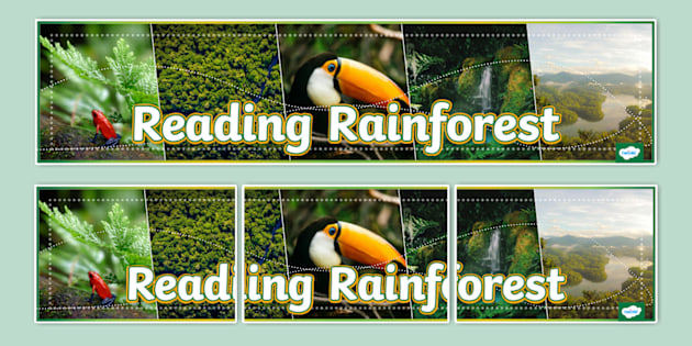 Beautiful Rainforests | twinkl.co.uk