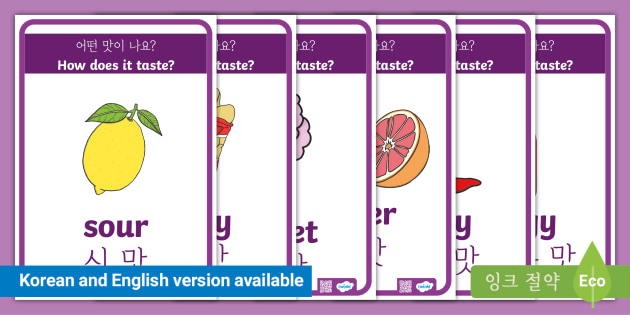 미각 포스터 Sensory Table Taste Display Posters