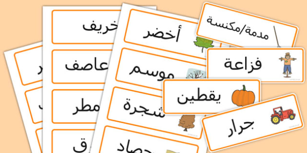 Autumn Leaves Activities | twinkl.co.uk