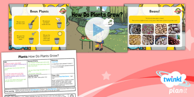 Science: Plants: How Do Plants Grow Year 1 Lesson Pack 6