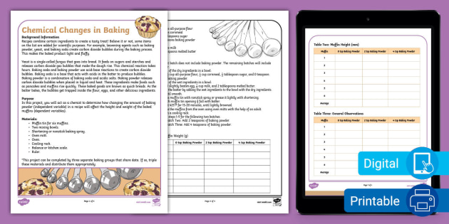Baking A Cake Chemical Change