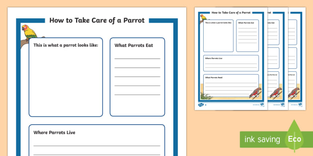 How To Take Care of a Parrot Fact File (teacher made)