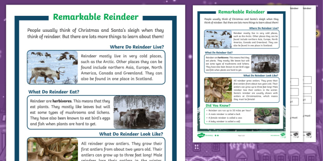 Christmas Reading Comprehension | Primary Learning Resources