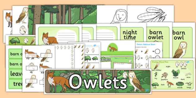 Owl Story Resources - Owl Babies Story Sack - Twinkl