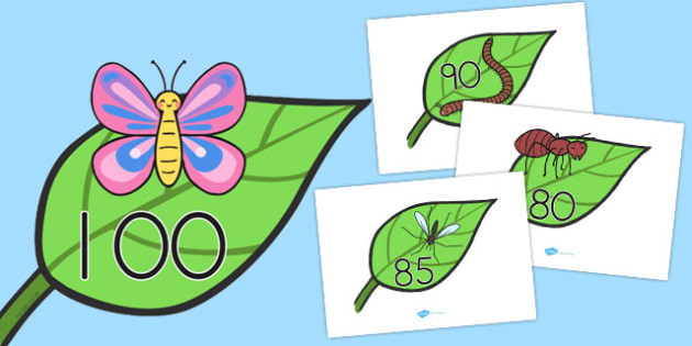 Numbers 80-100 on Minibeasts (teacher made)