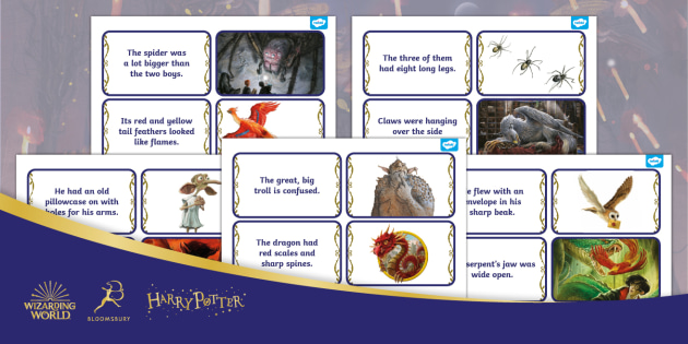 FREE! - Harry Potter: Caption and Picture Matching Activity