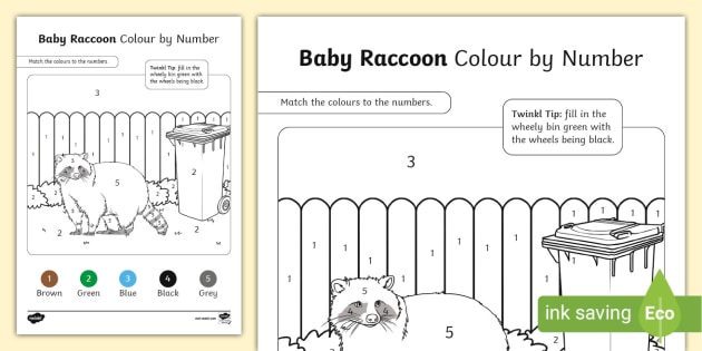 FREE! - Baby Racoon Colour by Number (teacher made)