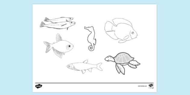 FREE! - Ocean Colouring Page | Colouring Sheets