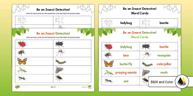 Insects Read and Write the Room Activity (teacher made)