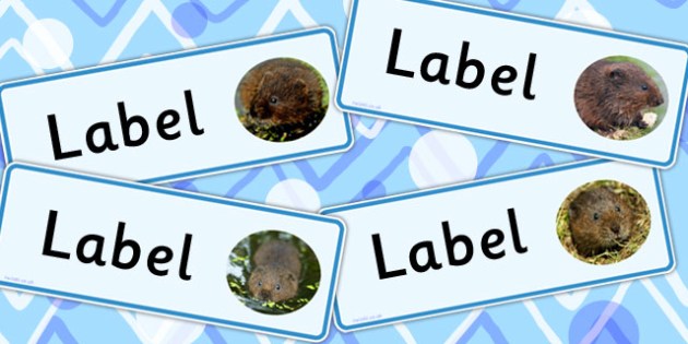 Water Vole Class Editable Labels (teacher made)