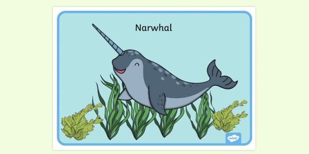 FREE! - Narwhal Poster for Kids | EYFS and KS1 Resources | Twinkl