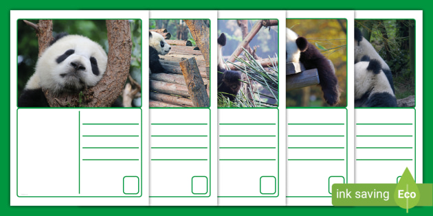 FREE! - Panda Postcards (teacher made)