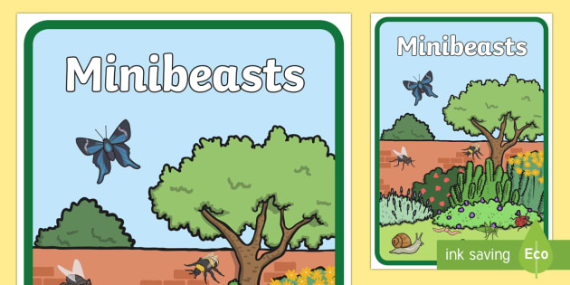 Minibeasts Book Cover - Minibeasts Book Cover (teacher made)