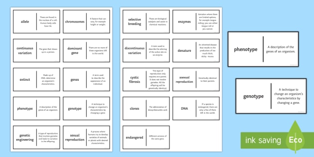 Genetics and DNA Patience Glossary Activity (teacher made)