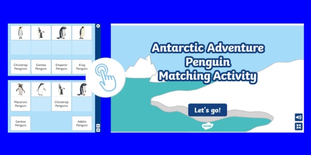 Antarctic Adventure Penguin Matching Activity (teacher made)