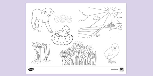 Spring and Easter Colouring | Colouring Sheet