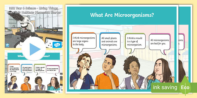 KS2 Year 6 Living Things and Their Habitats Science Discussion Starter