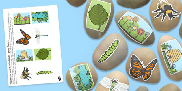 Minibeasts and Their Habitats Story Stone Image Cut Outs