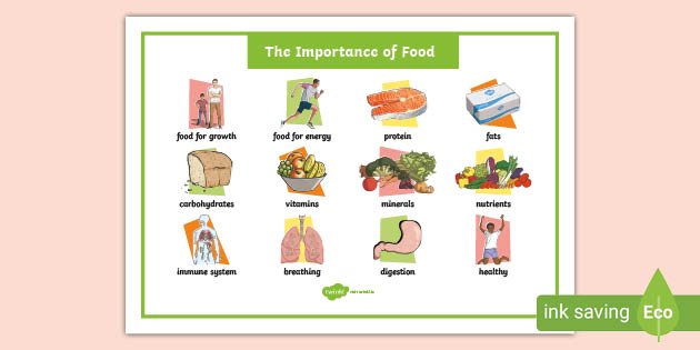 The Importance of Food Word Mat (teacher made)