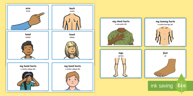 Parts of the Body Communication Cards English/Portuguese - Parts Of The ...