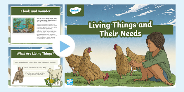 Living Things PowerPoints | twinkl.com.au