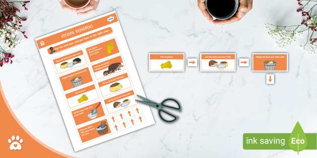 Feeding Hedgehogs - Sequencing Cards - Wildlife - Pets
