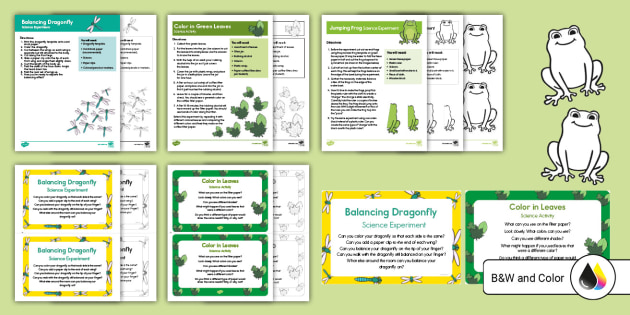 Rainforest Preschool Projects Science Elementary School Science