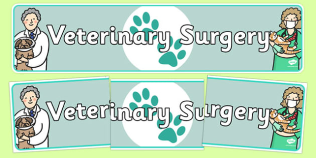 Veterinary Surgery Display Banner - veterinary surgery, vets