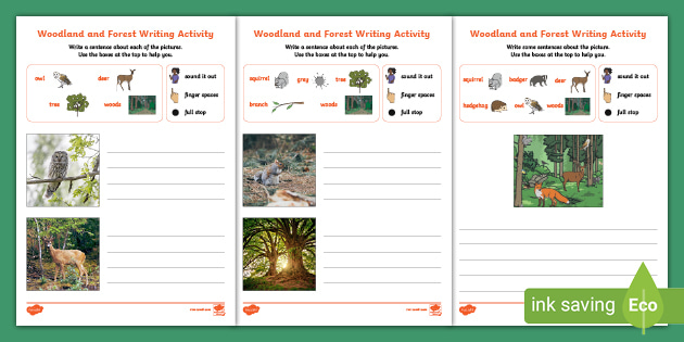 Woodland and Forest Early Writing Activities (teacher made)