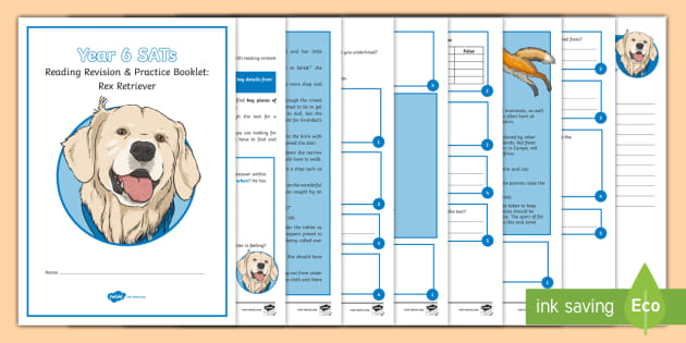 Year 6 Rex Retriever Reading Revision & Practice Booklet