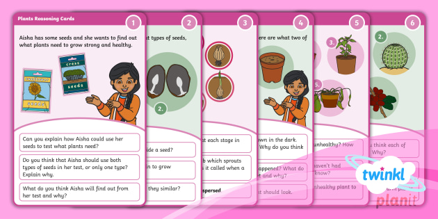 Science: Plants: Year 2 Reasoning Cards (teacher made)