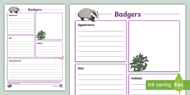 * NEW * Badger Fact File Template,Badgers (teacher made)