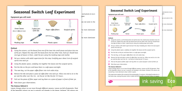 Seasonal Switch Leaf Experiment Step-by-Step Instructions