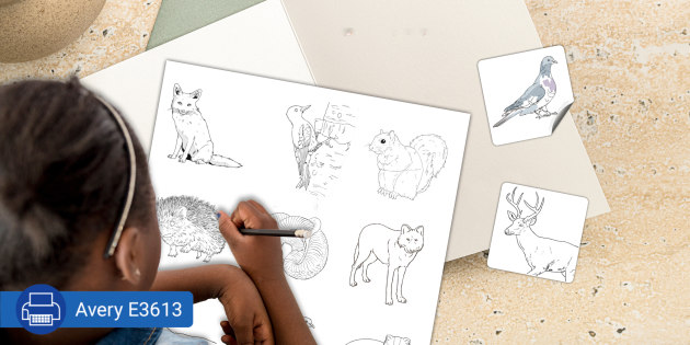 World Wildlife Mindfulness Colouring Woodland AnimalStickers