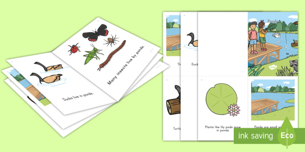 Pond Emergent Reader - Beginning Reader, Early Literacy, Guided